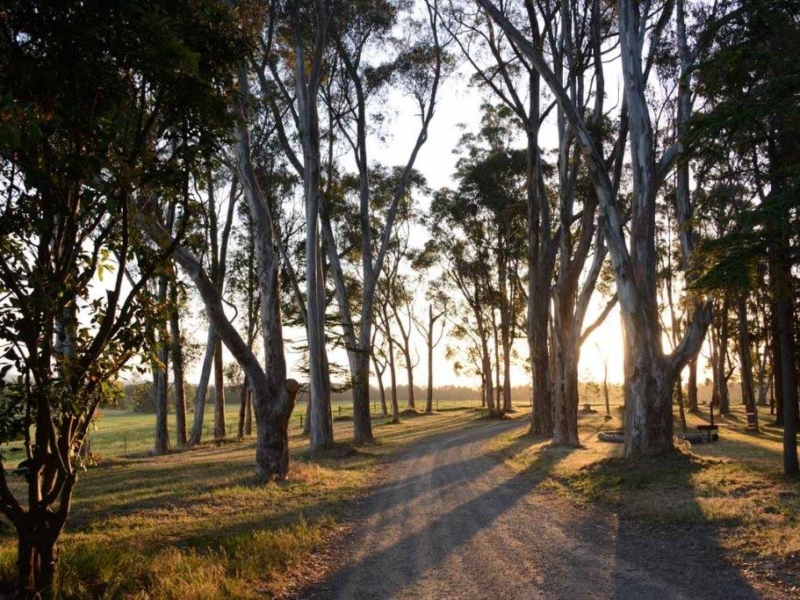 Tarrawarra : Order of Cistercians of the Strict Observance: OCSO