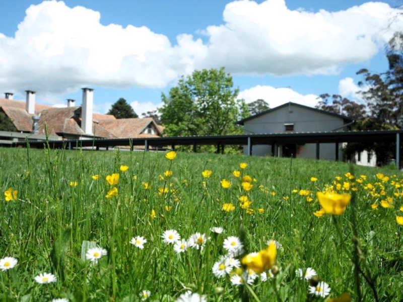 Tarrawarra : Order of Cistercians of the Strict Observance: OCSO