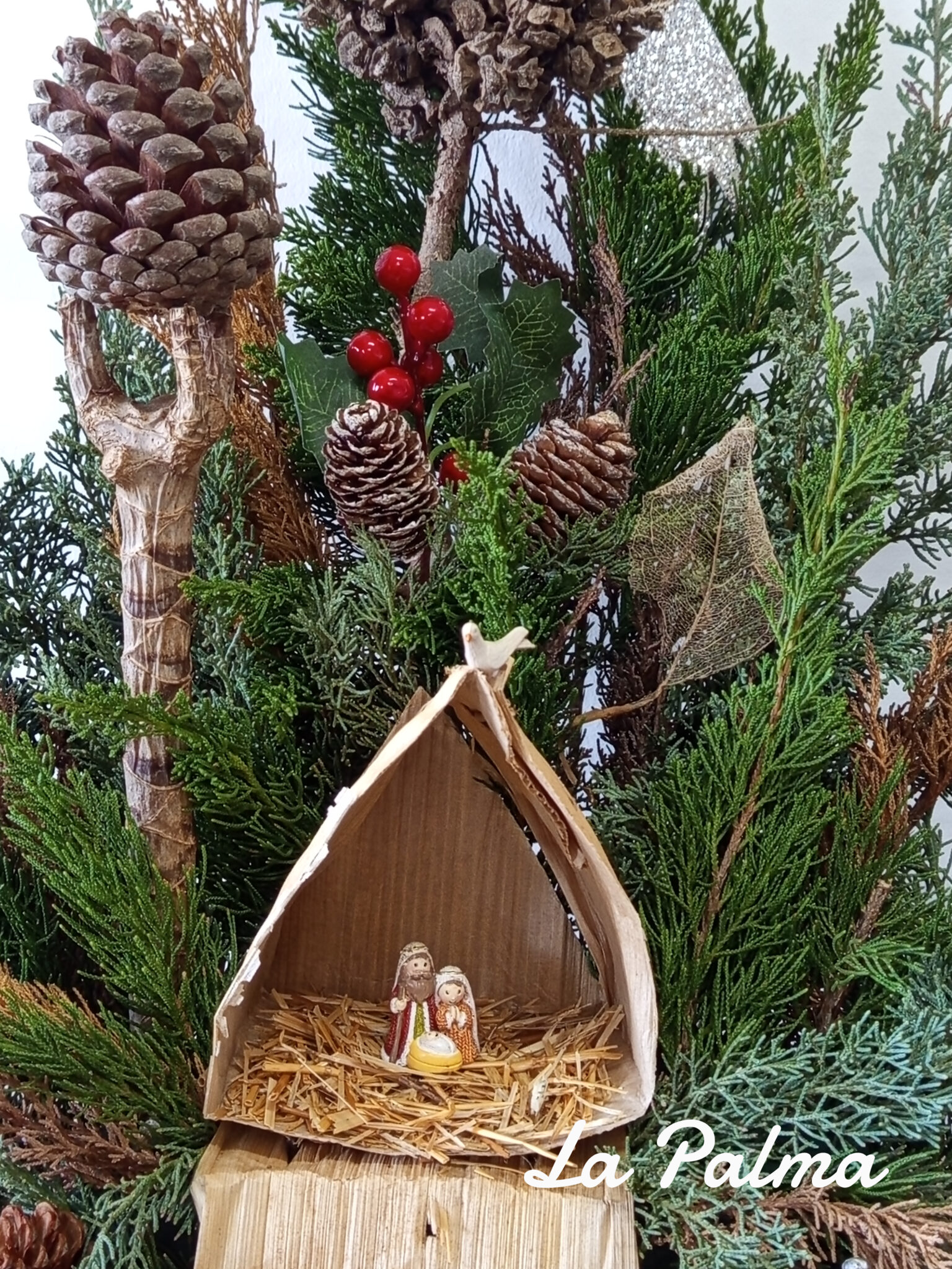 La Palma 1 : Order of Cistercians of the Strict Observance: OCSO